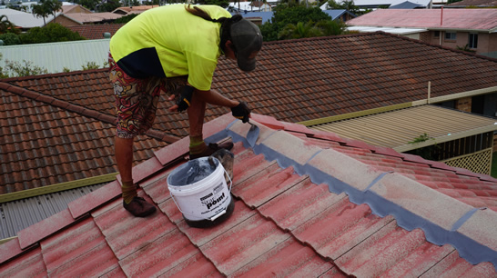 Roof Painting Brisbane Services - Roof Restorations - Go Zeaus